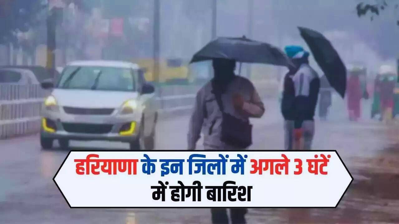 Haryana Weather Update: हरियाणा के जींद हिसार समेत कई जिलों में अगले ...
